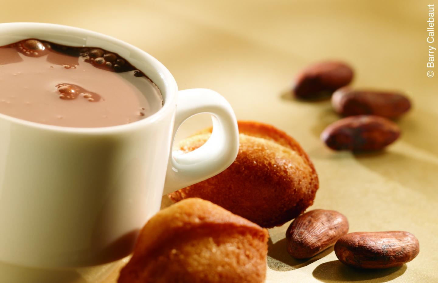 Barry Callebaut Acquires Petra Foods' Cocoa Division